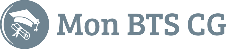 Parcours professionnalisation BTS CG (E6) - Fiches de révision et cours